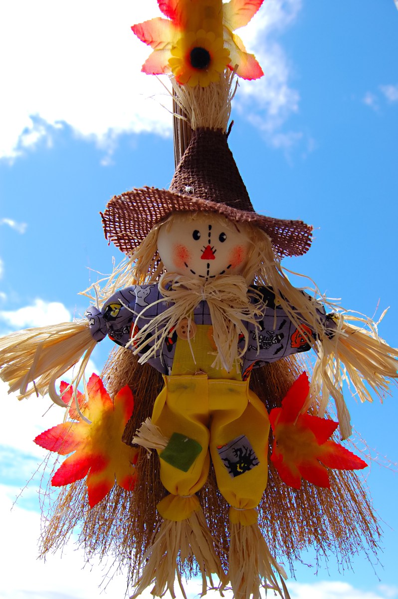 Fall Starter Kit | BeWellWarrior